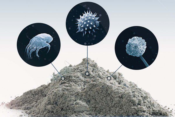 Debu & Hama : Pencetus Ekzema Dalam Diam? - MNN